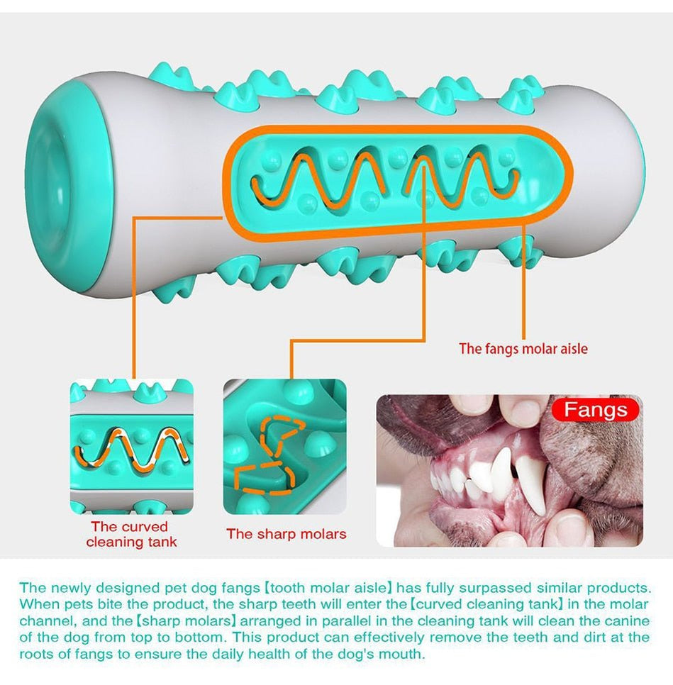 Extra-Soft and Resistant Rubber Tooth Cleaner Toy - PetDoctors - Online ...
