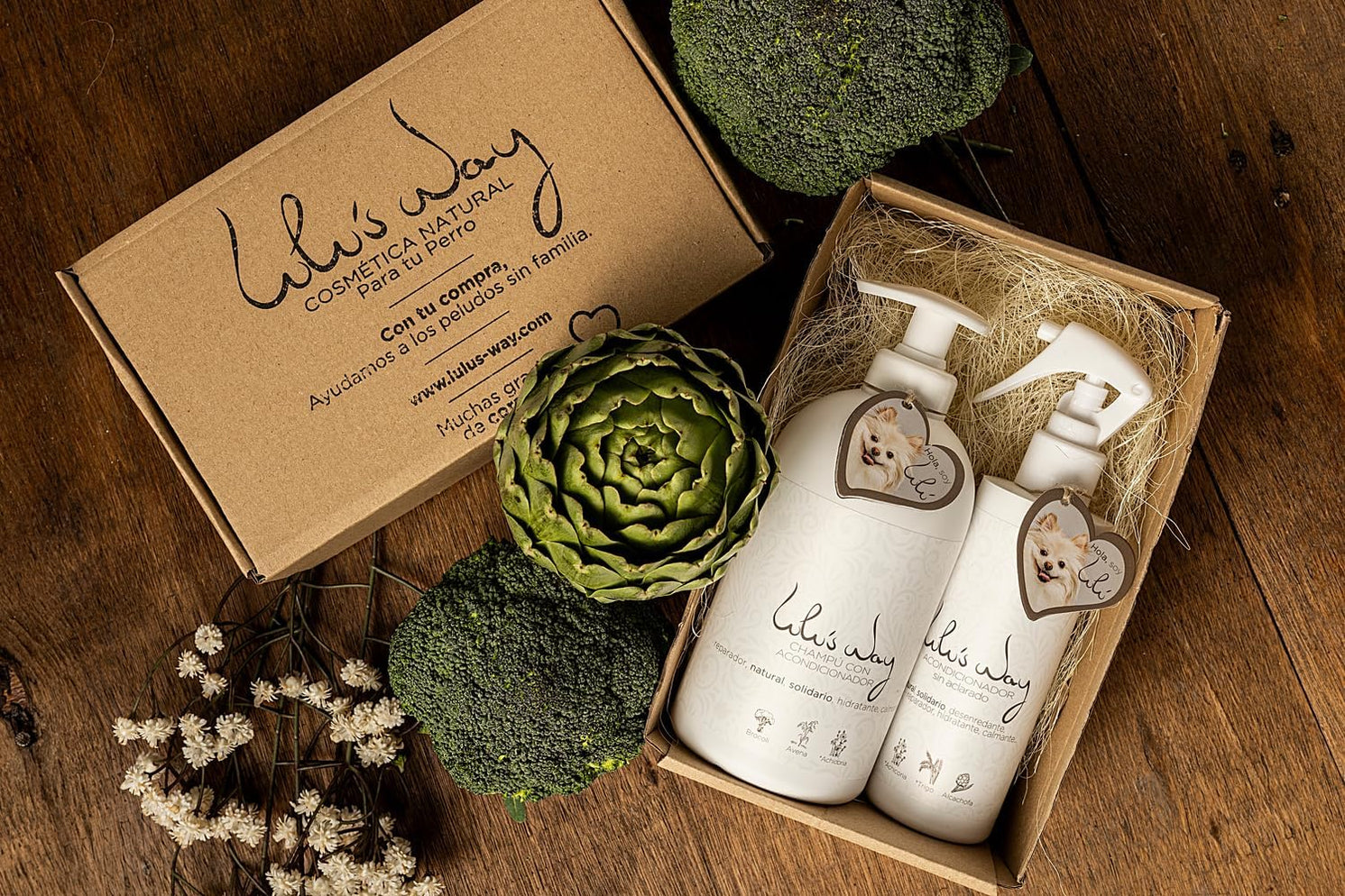 Lulu's Way Natural shampoo for dogs with conditioner - for sensitive ...