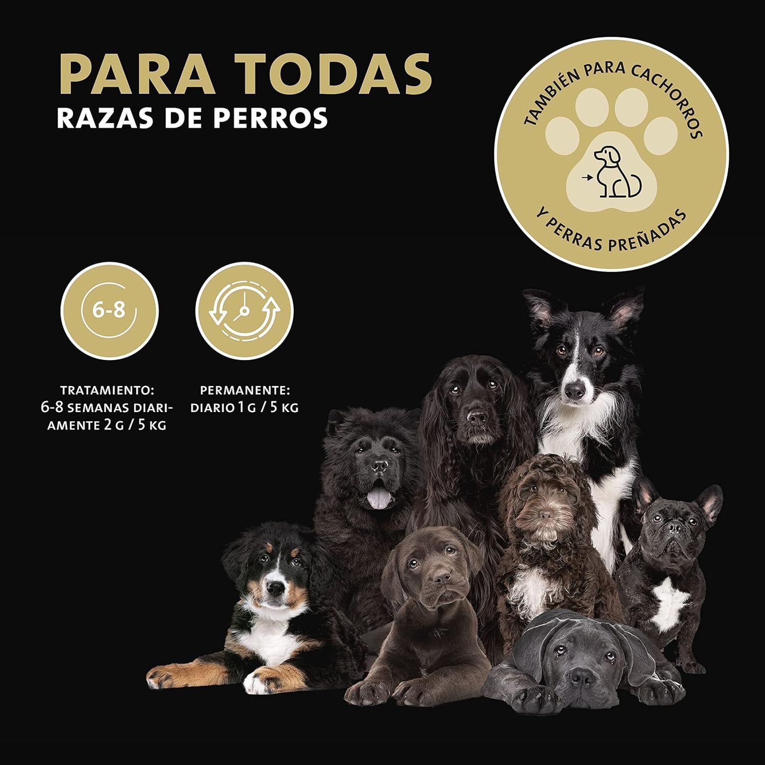 Peticare Pó para as articulações e artrose de cães | com MSM, colagénio ...